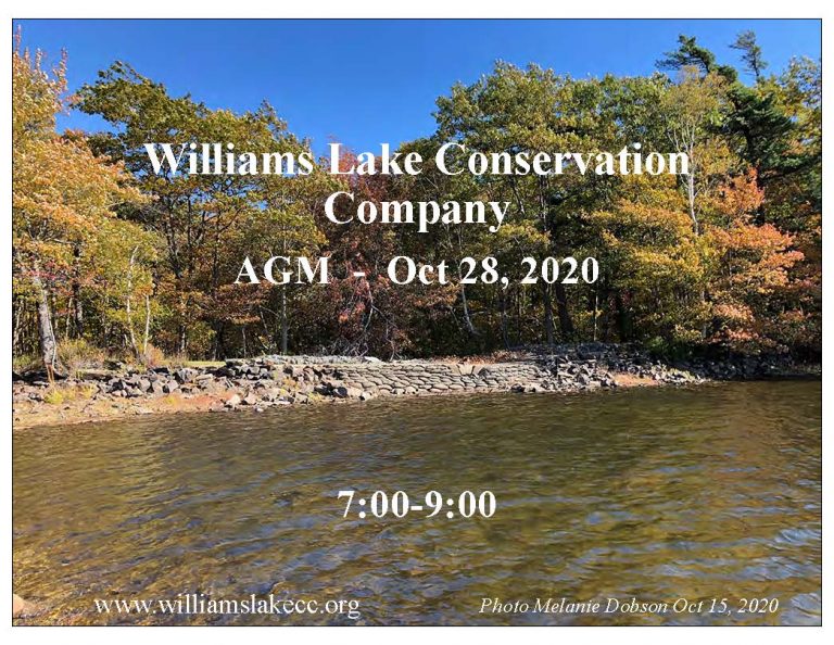WLCC 2020 Annual General Meeting Presentations - Williams Lake ...