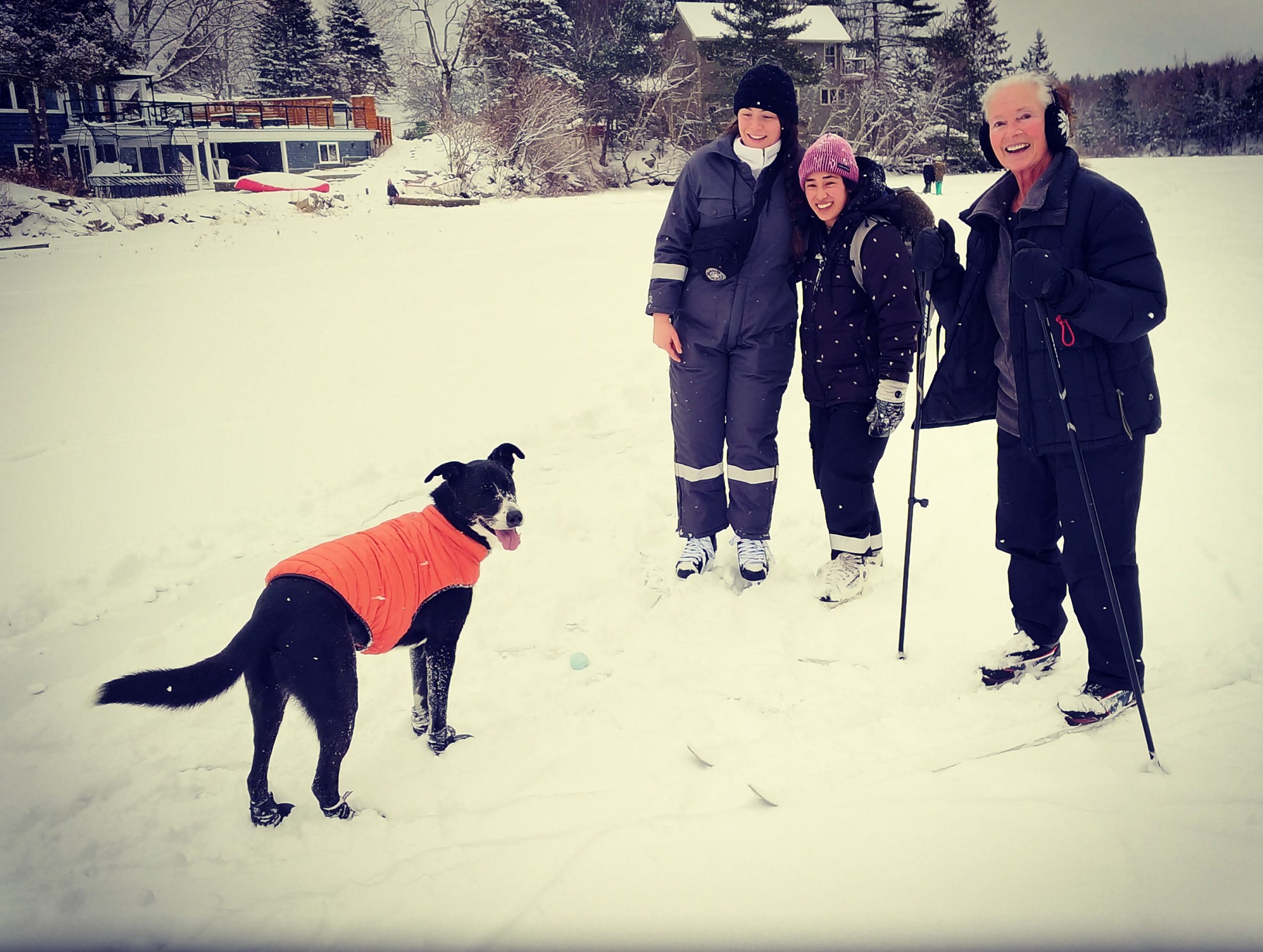 Where did you find Bruce the Dog? - Williams Lake Conservation Company