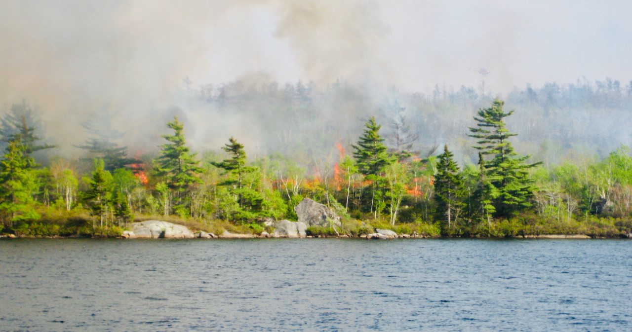 Fire Destroys. Nature Restores. - Williams Lake Conservation Company