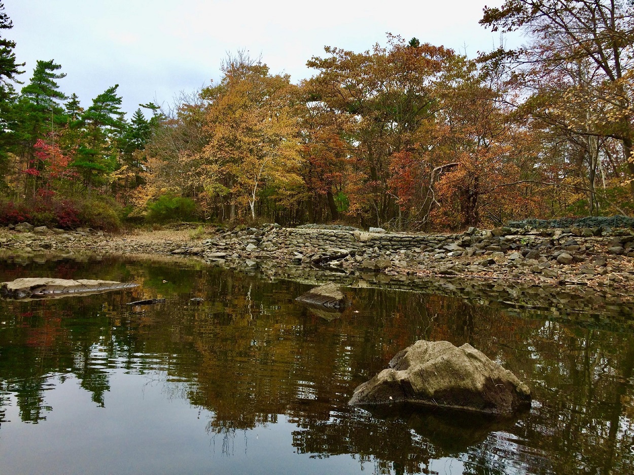 Preparing for the Dam Rebuild - Williams Lake Conservation Company